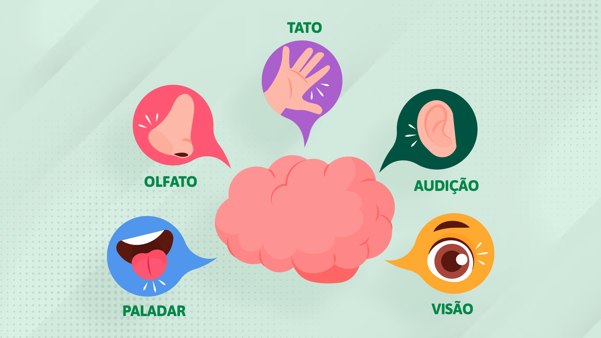 Sentido Do Paladar Exercitando O Paladar Ativar Sentidos